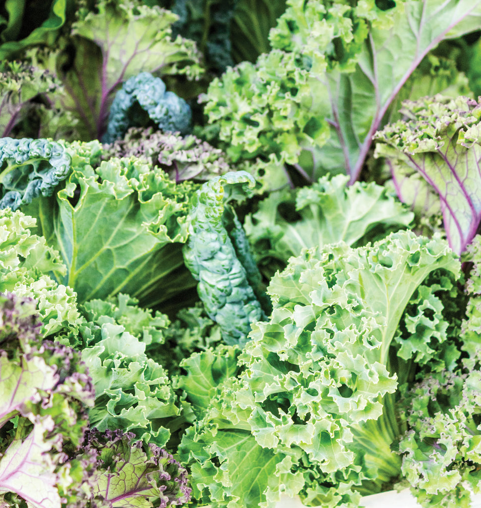 Summer Kale Blend – West Coast Seeds