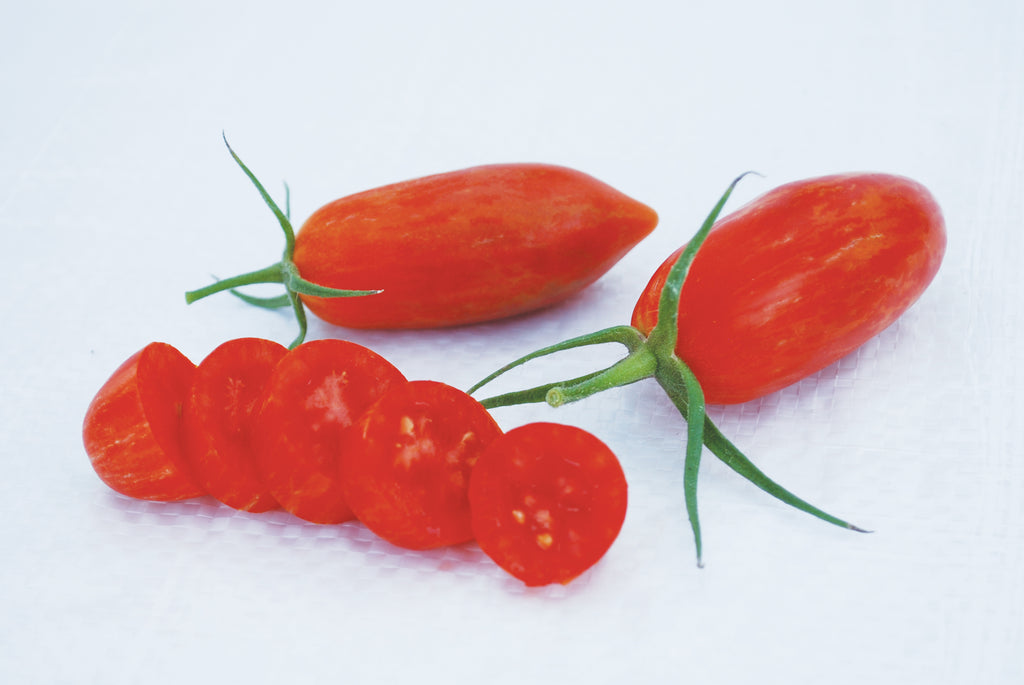 Prairie Fire Organic – West Coast Seeds