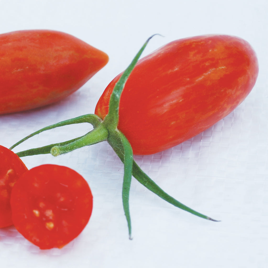 Prairie Fire Organic – West Coast Seeds