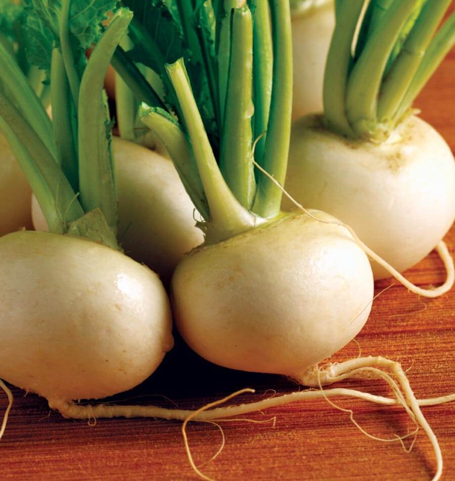 Japanese White Turnip