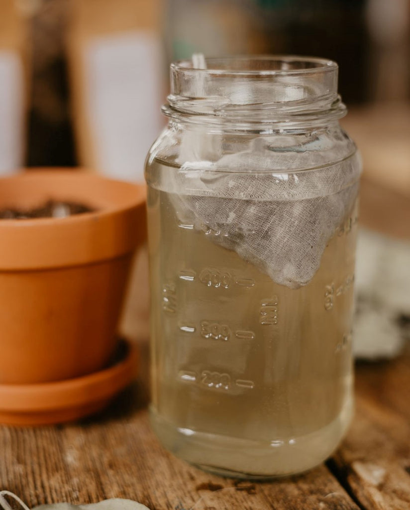 Llama Bean Fertilizer Tea – West Coast Seeds