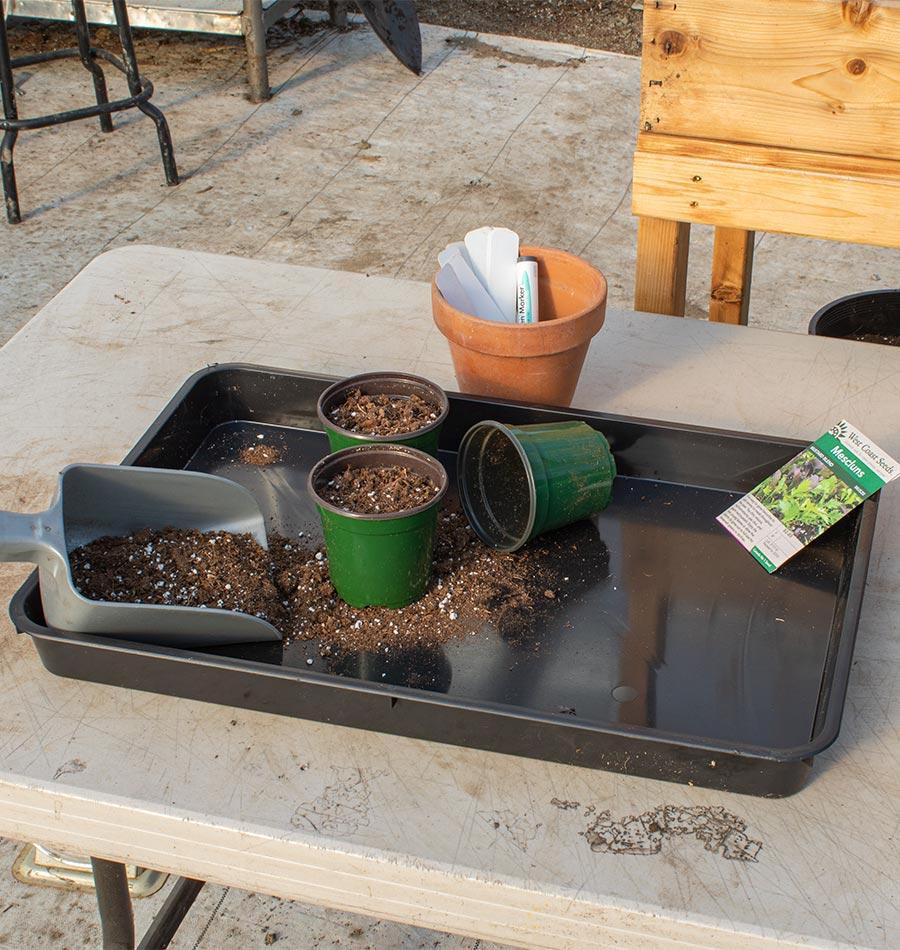 Multi-Purpose Planting Tray – West Coast Seeds