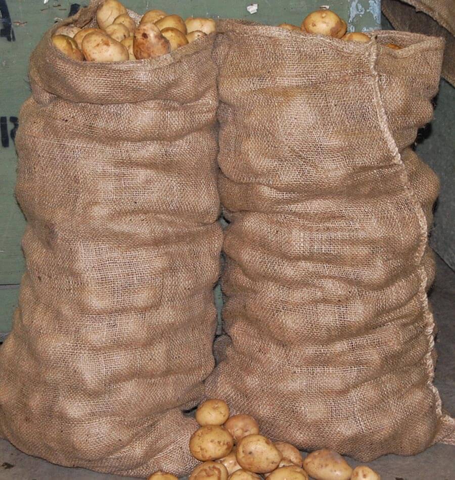 burlap seed sacks