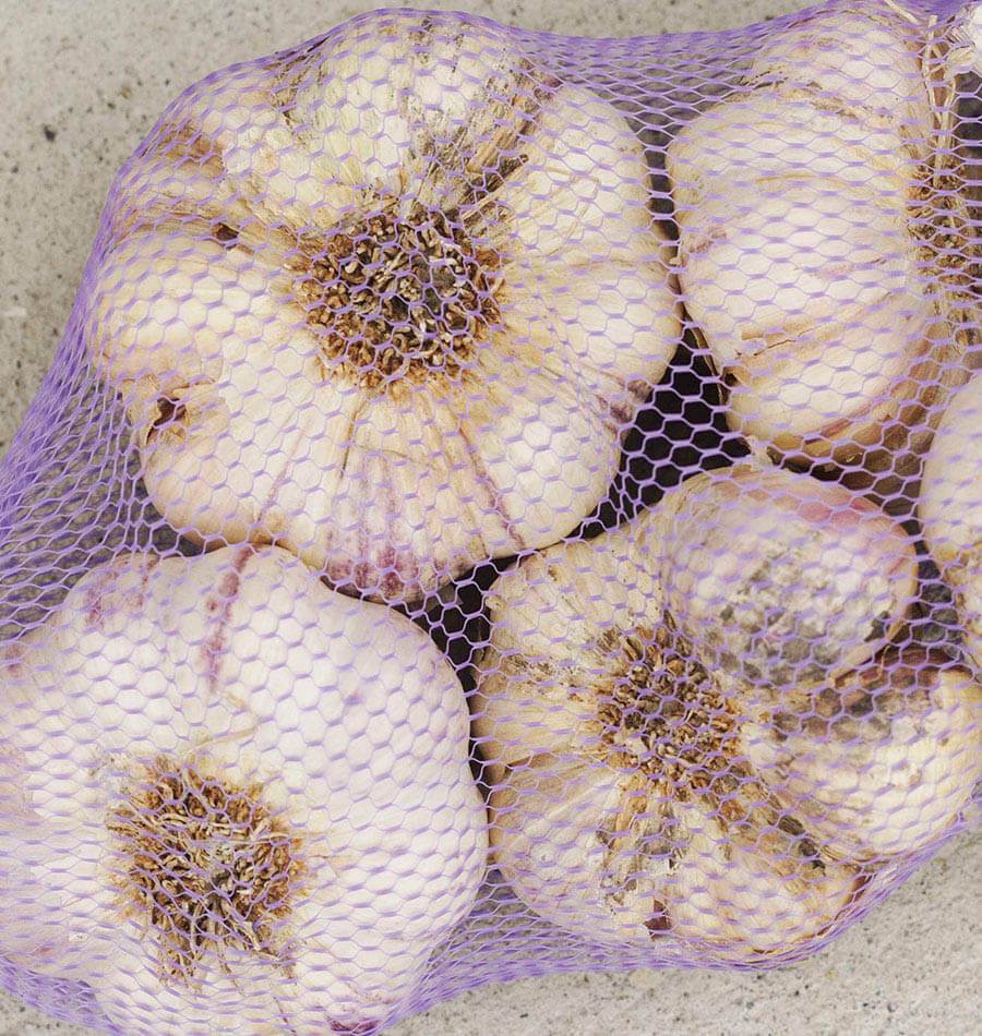 Garlic Netting – West Coast Seeds