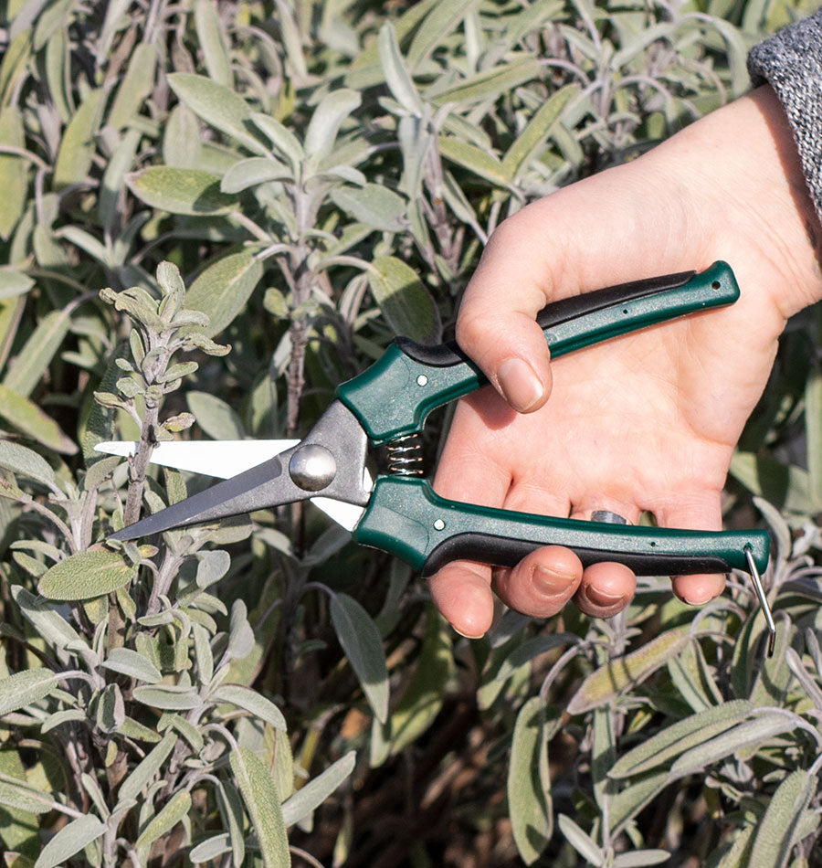 Garden Shear – West Coast Seeds