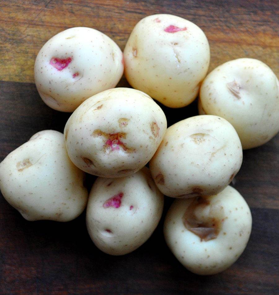 Warba Organic Seed Potatoes – West Coast Seeds