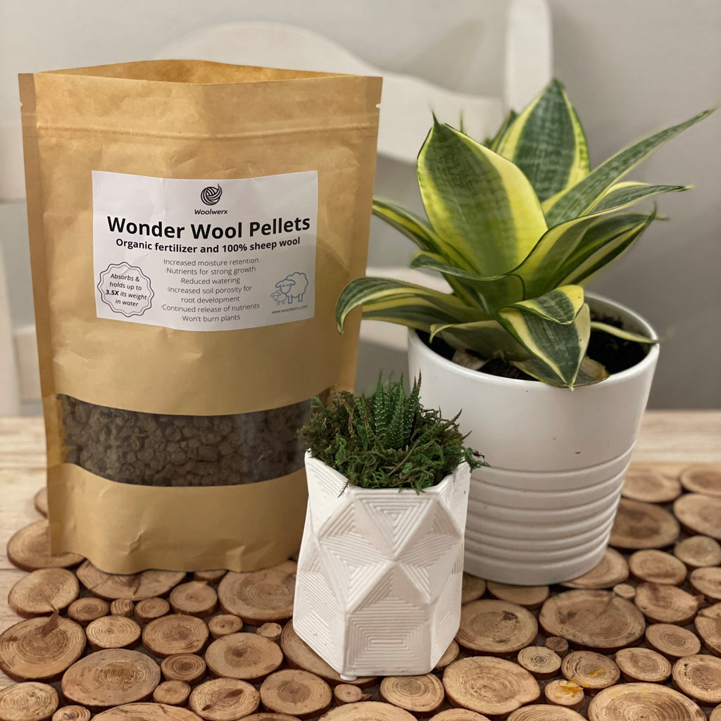 Wonder Wool Pellets 270g – West Coast Seeds
